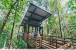 50 Best Hiking Trails In Singapore (Updated 2024 Guide)
