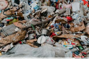 Behind The Scenes At SembWaste Materials Recovery Facility