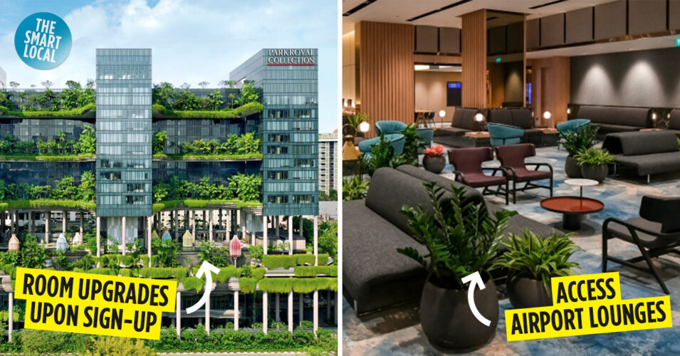 7 Best Hotel Loyalty Programmes To Use Worldwide