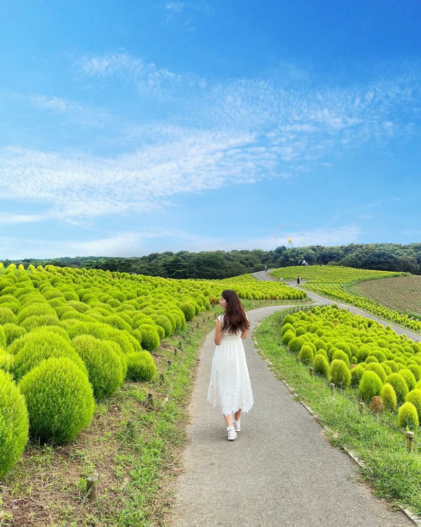 10 Less Touristy Things To Do In Japan 3H From Tokyo & Osaka