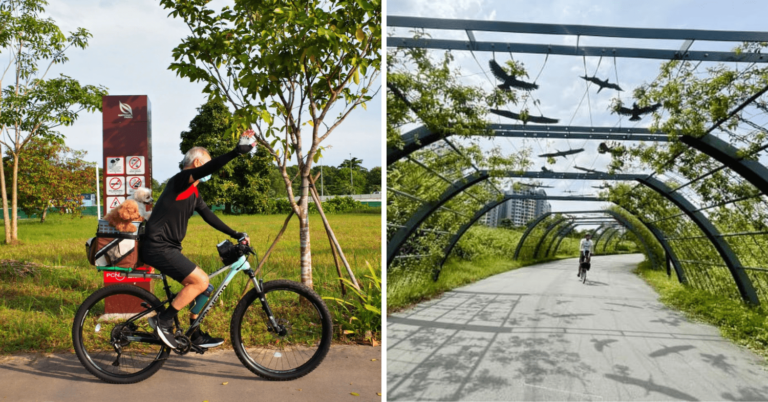 Sengkang Riverside Park - Fruit-Themed Boardwalk & Lalang Field