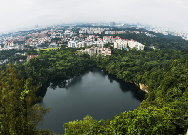 11 Upcoming Green Spaces & Nature Parks In Singapore From 2023