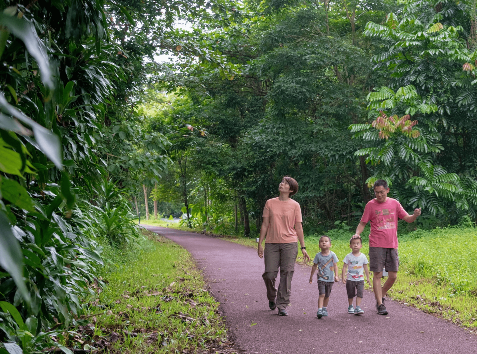 Rail Corridor North Has Opened With New Lookout Points & Hiking Trails