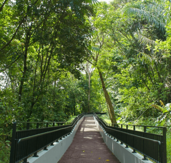 Rail Corridor North Has Opened With New Lookout Points & Hiking Trails
