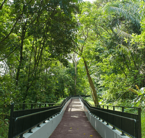Rail Corridor North Has Opened With New Lookout Points & Hiking Trails