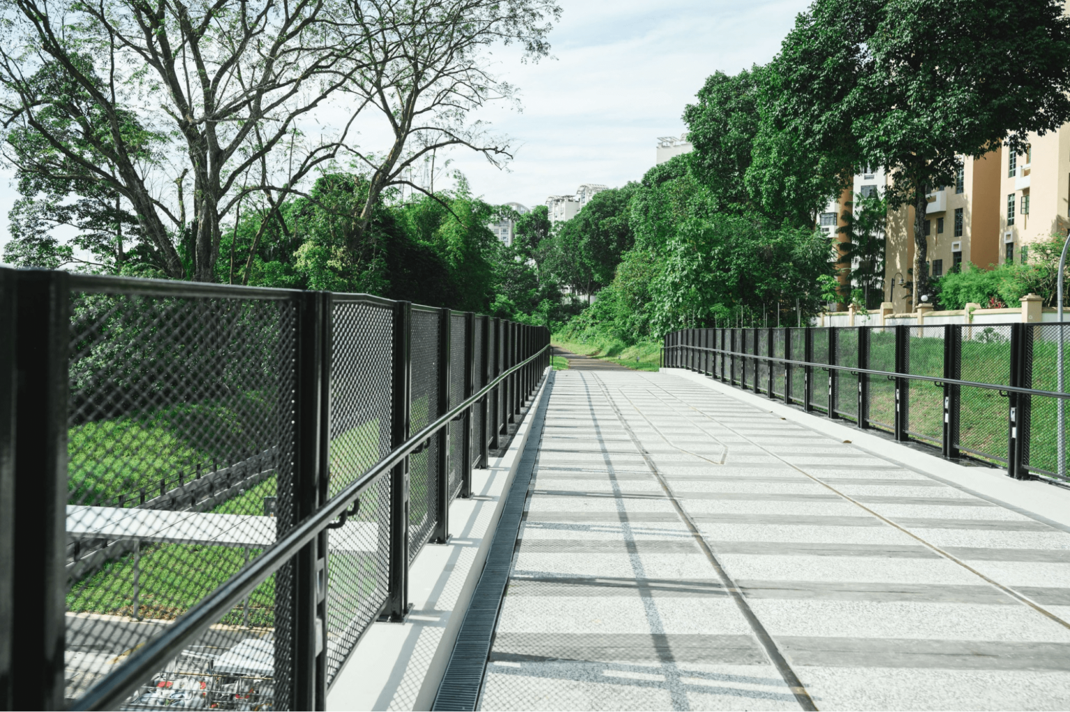 Rail Corridor North Has Opened With New Lookout Points & Hiking Trails