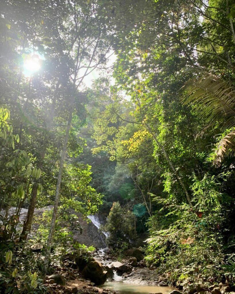 Gunung Pulai Recreational Forest: 4-Hour Hiking Trail Near JB