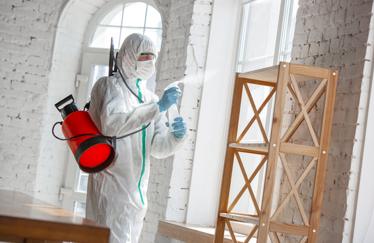 9 Best Home Mold Removal Services In Singapore