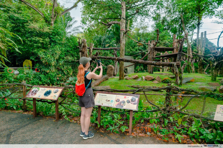 Mandai Wildlife Reserve Singapore Guide
