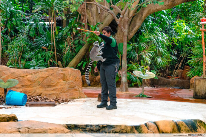 Mandai Wildlife Reserve Singapore Guide