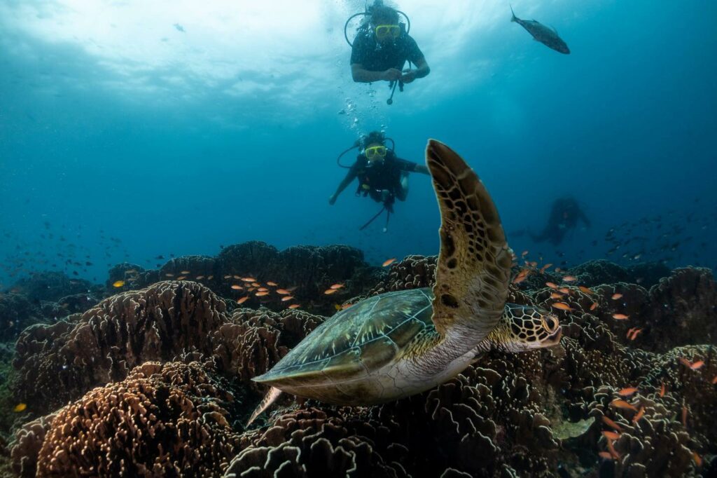 Guide To Learning Scuba Diving In Bali