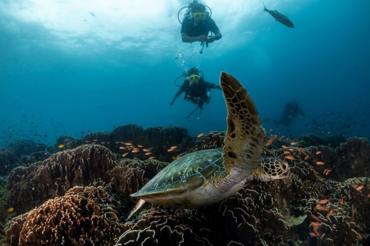 Guide To Learning Scuba Diving In Bali