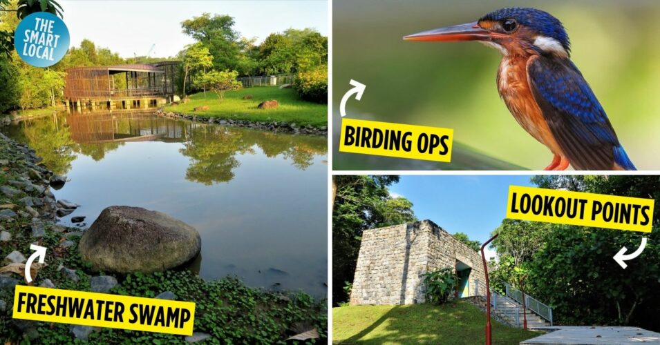 Giant & Cold Storage Kids Run 2023 At Sentosa