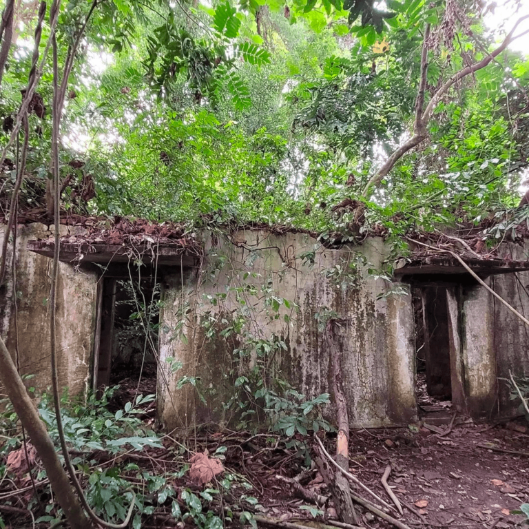 Guide To Kay Siang Bunkers - Abandoned WW2 Bunkers In Queenstown