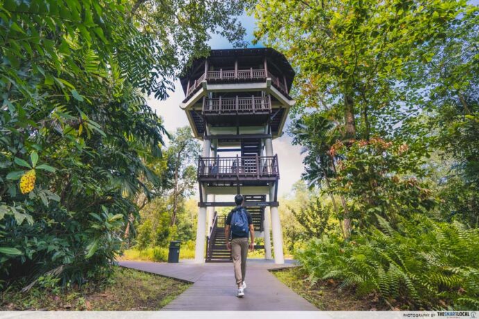 8 Activities To Do At Neighbourhood Parks & Gardens In Singapore