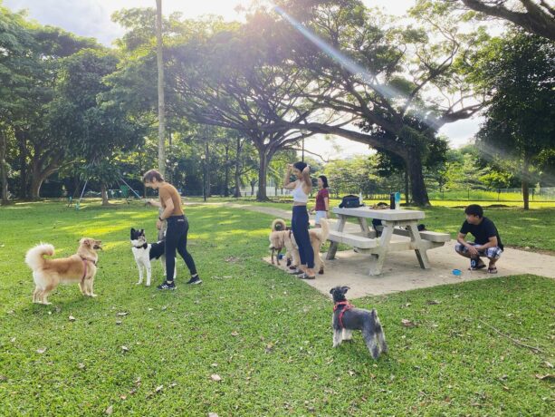 8 Activities To Do At Neighbourhood Parks & Gardens In Singapore