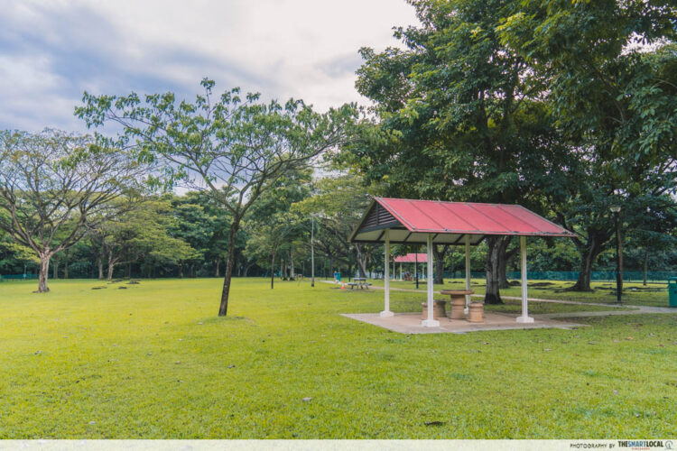 8 Activities To Do At Neighbourhood Parks & Gardens In Singapore