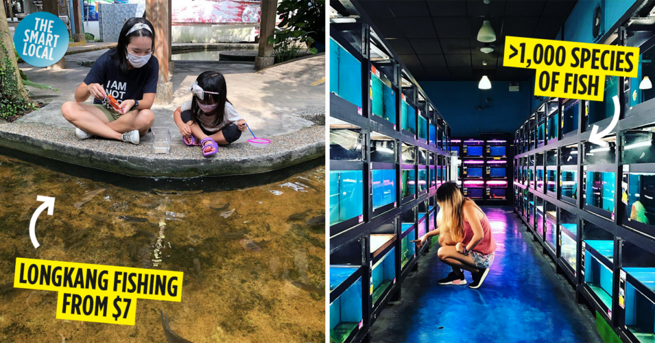 Qian Hu Fish Farm: Affordable Longkang Fishing & Fish Spa In CCK
