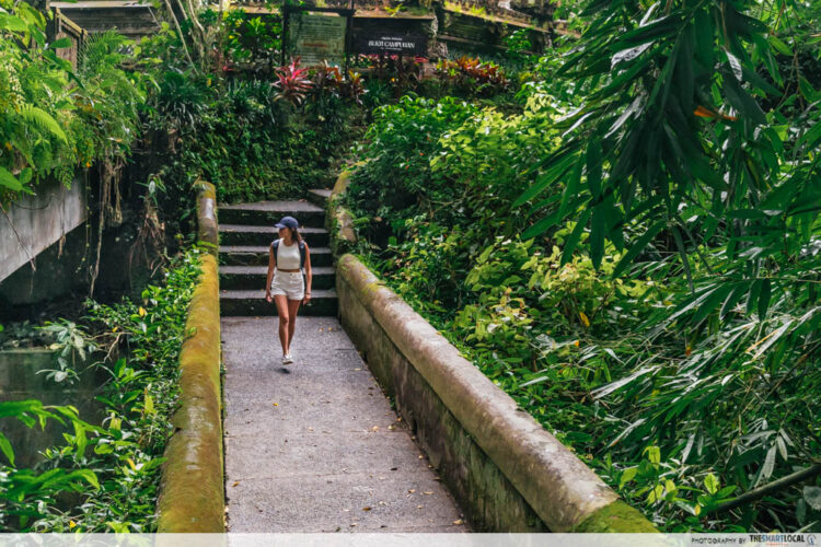 Guide To Campuhan Ridge Walk In Ubud, Bali