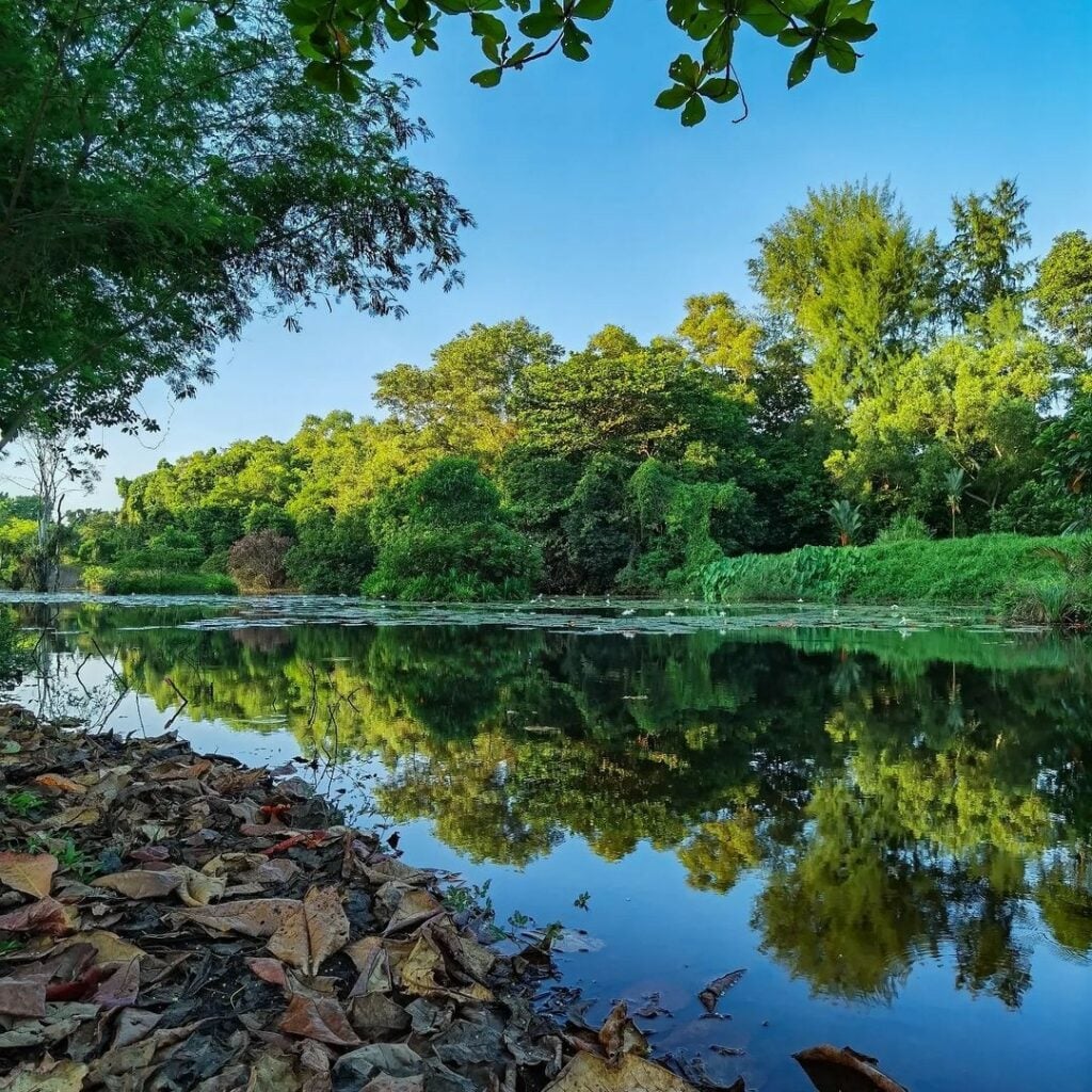 Hampstead Wetlands Park: Hidden Park Near Seletar Aerospace Park