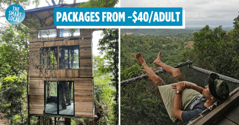 Rainforest Tree House: Hidden Hotel & Cafe In JB