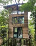 Rainforest Tree House: Hidden Hotel & Cafe In JB