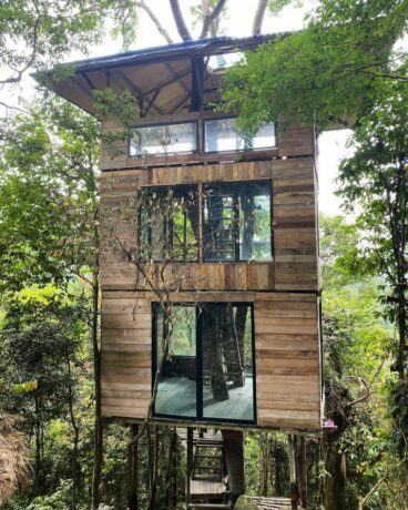 Rainforest Tree House: Hidden Hotel & Cafe In JB