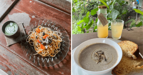 Rainforest Tree House: Hidden Hotel & Cafe In JB