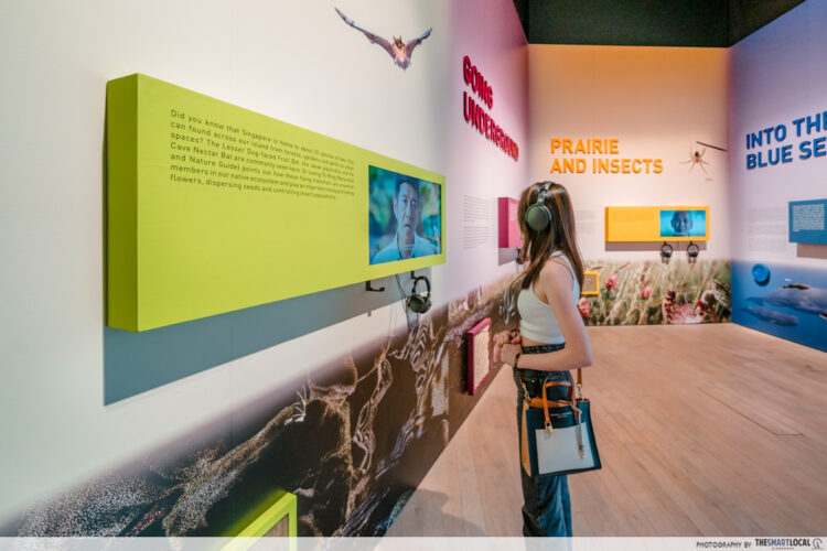 Sensory Odyssey: ArtScience Museum’s Exhibit With 360° Naturescapes