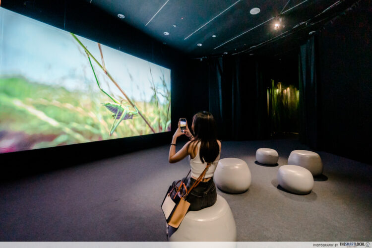 Sensory Odyssey: ArtScience Museum’s Exhibit With 360° Naturescapes