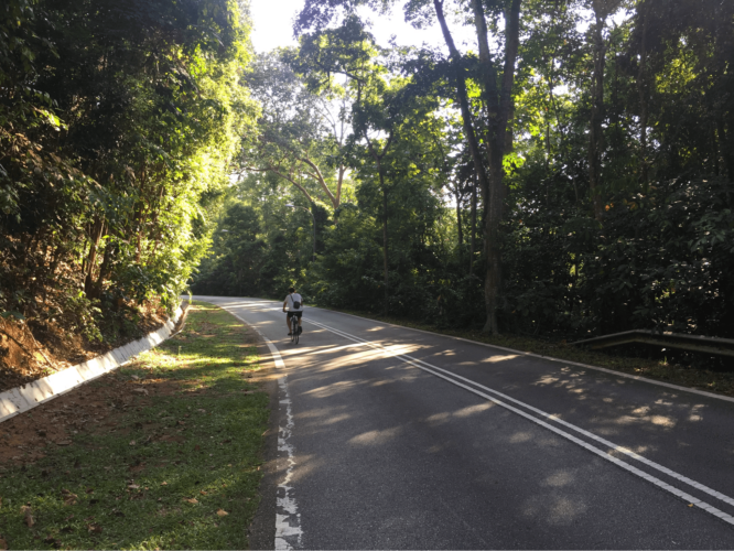 12 Long-Distance Cycling Routes In Singapore