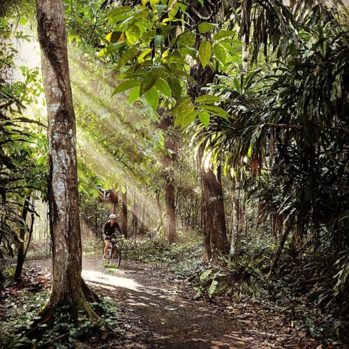 Mandai T15 Trail: Lesser-Known Hiking & Cycling Trail Near The Zoo