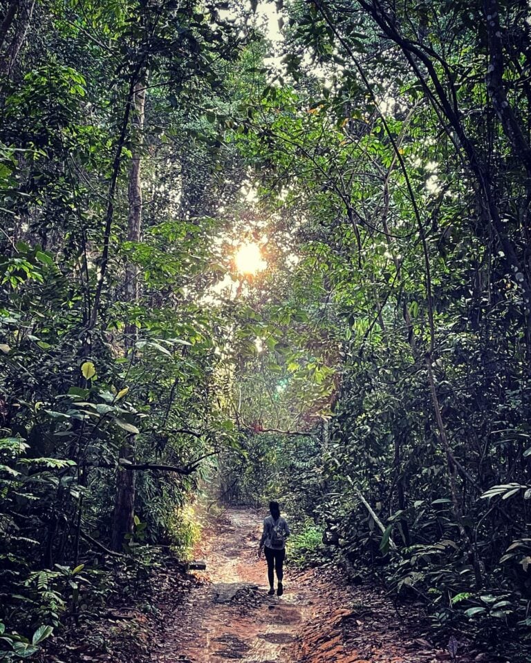 Mandai T15 Trail: Lesser-Known Hiking & Cycling Trail Near The Zoo