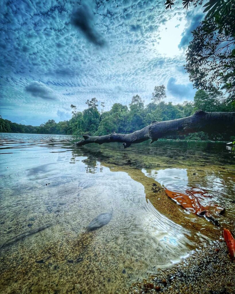 Mandai T15 Trail: Lesser-Known Hiking & Cycling Trail Near The Zoo