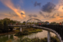 Punggol Waterway Park: IG-worthy Bridges & Gardens Worth The Ride