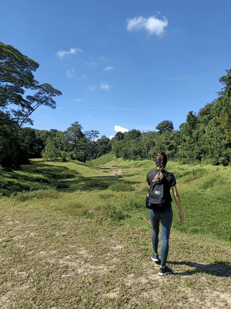 Rail Corridor Guide: 24KM Trail From Kranji To Spooner Road [2023]