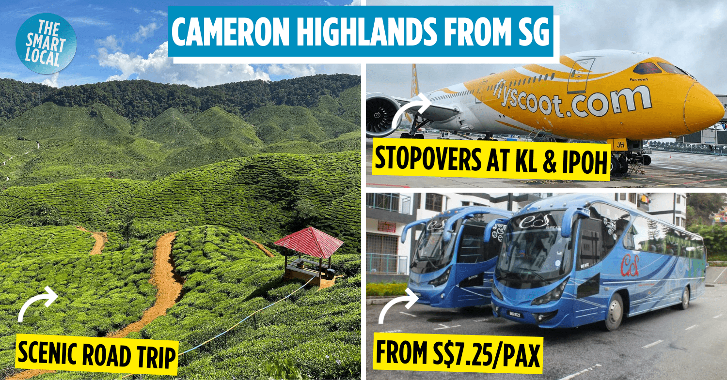 How To Get From SG To Cameron Highlands By Car, Bus & Air