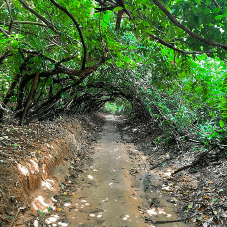 Seri Alam Blue Lake: Hidden Blue Lake Near JB