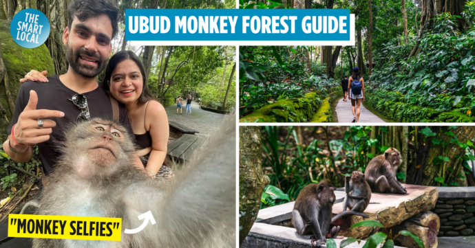 Ubud Monkey Forest In Bali