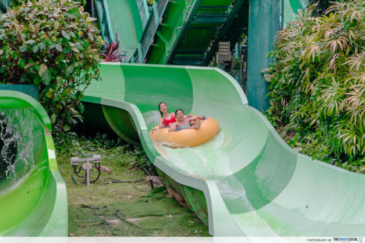 Adventure Cove Waterpark Guide: Cabanas & Water Slides [2024]