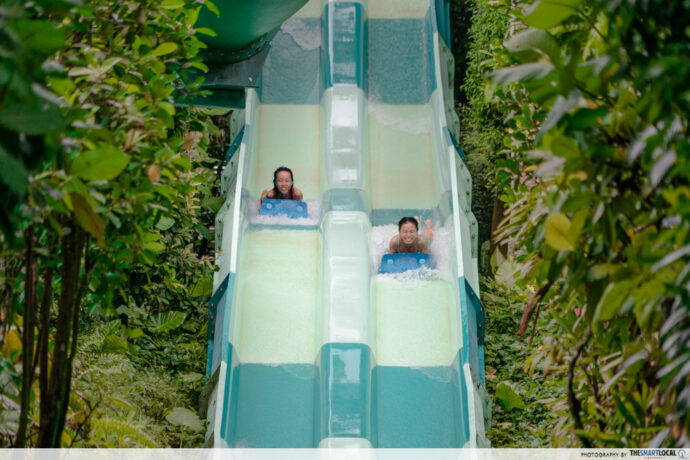 Adventure Cove Waterpark Guide: Cabanas & Water Slides [2024]