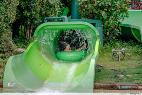 Adventure Cove Waterpark Guide: Cabanas & Water Slides [2024]