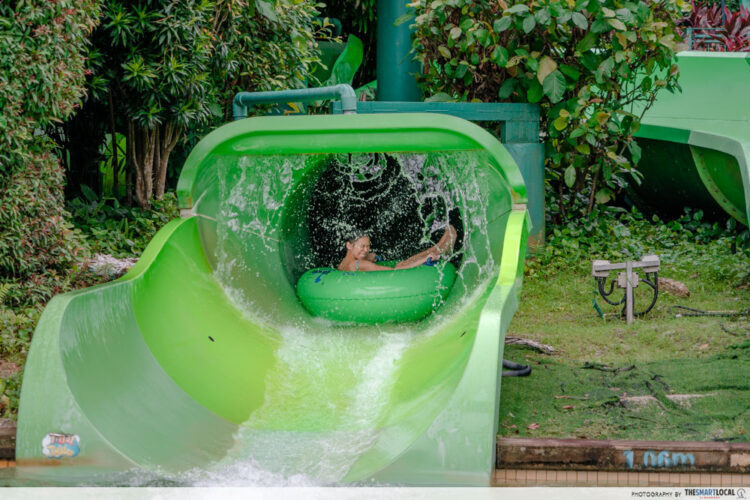 Adventure Cove Waterpark Guide: Cabanas & Water Slides [2024]