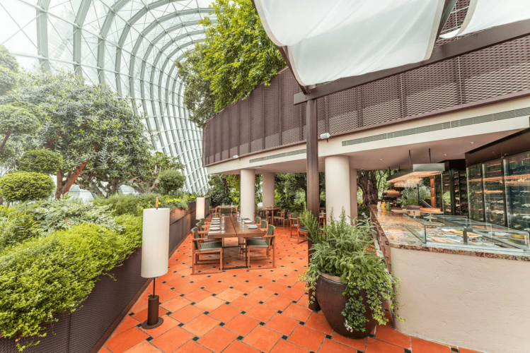 11 Glass House Cafes In S'pore, Including Work-Friendly Spaces