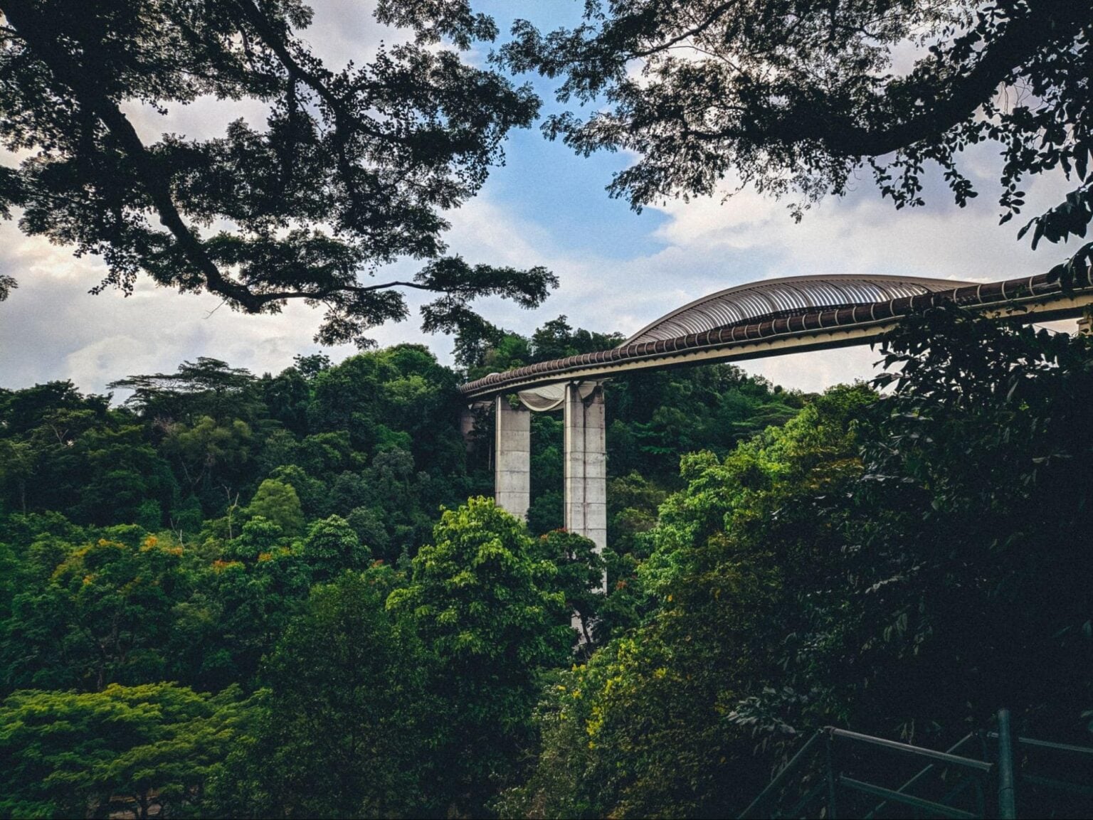 Henderson Waves: 274m-Long Bridge With Wave-like Canopy Trail