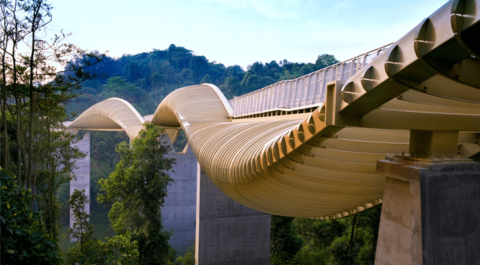 Henderson Waves: 274m-Long Bridge With Wave-like Canopy Trail