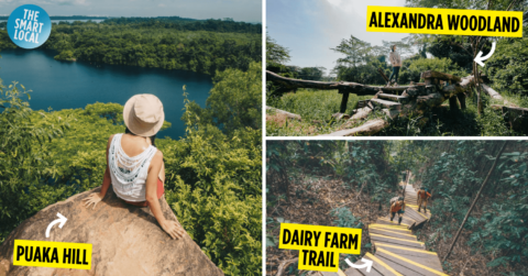 13 Adventurous Hiking Trails In Singapore [Updated 2023 Guide]