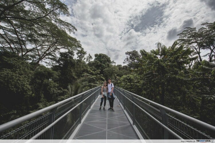 13 Adventurous Hiking Trails In Singapore [Updated 2023 Guide]