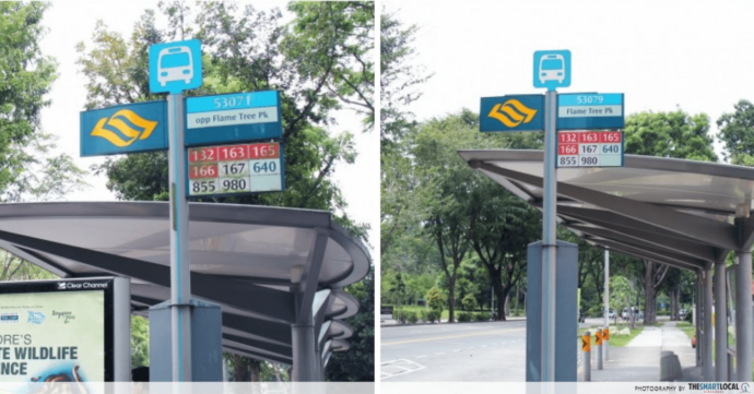 Guide To MacRitchie Treetop Walk - Exploring Singapore’s “Pretty Bridge”
