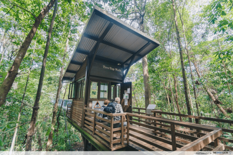 Guide To MacRitchie Treetop Walk - Exploring Singapore’s “Pretty Bridge”